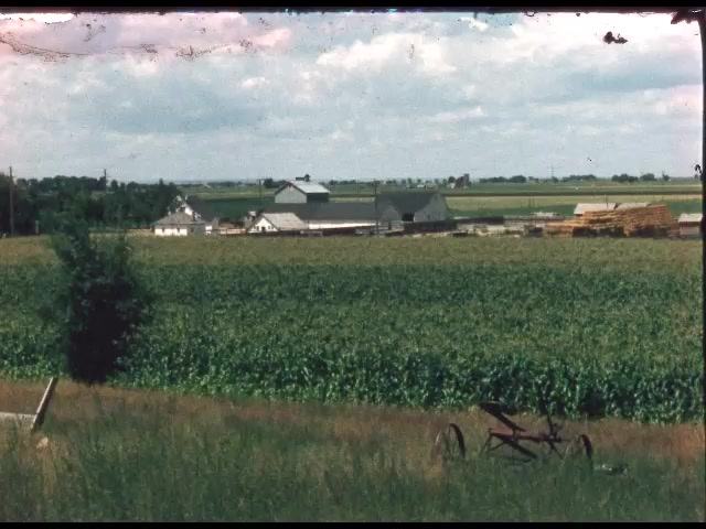 1960s: Farmland with farmhouse. Farmhouse and barn. Cows on farm ...