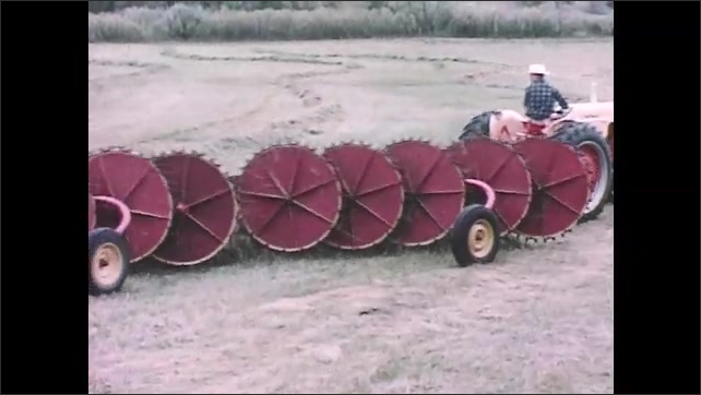 1960s: Man on tractor pulls tandem wheel rakes through fields of cut ...
