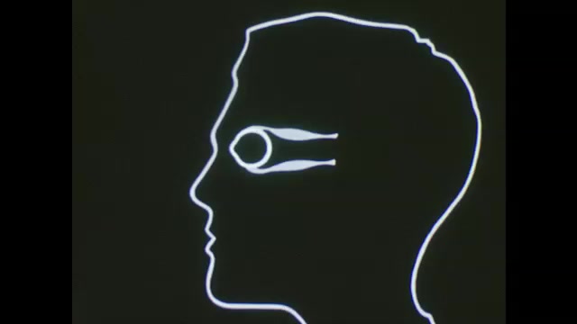 United States, 1950s: Drawing of human head and label for muscles ...