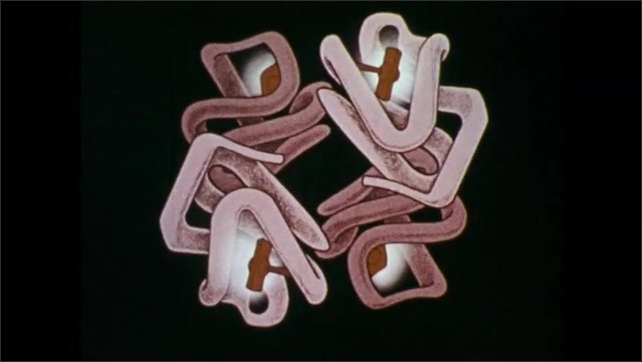 1970s: Animation of hemoglobin molecule and its structure. Iron atoms ...