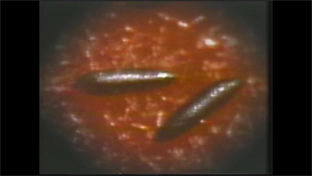 1990s: Person looks through microscope in lab. Microscopic image of ...