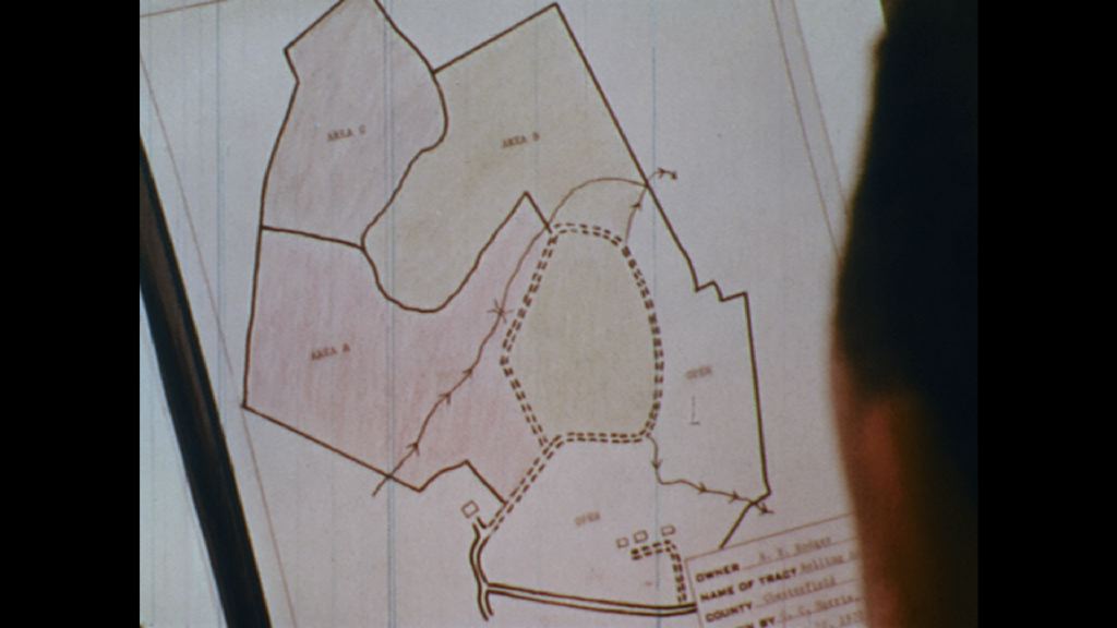 UNITED STATES: 1970s: map of forestry. Trees in forest. View up tree ...