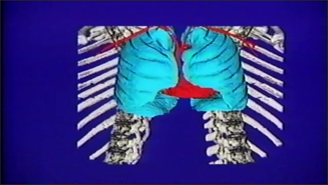 1990s: Images of body parts on computer screen. – Archival Footage